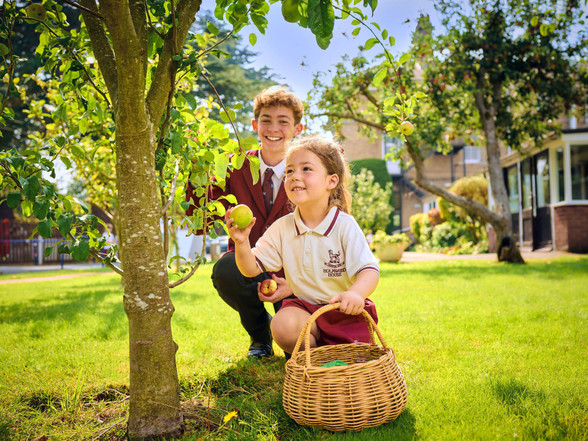 Choosing the Right Independent School - Holmwood House School